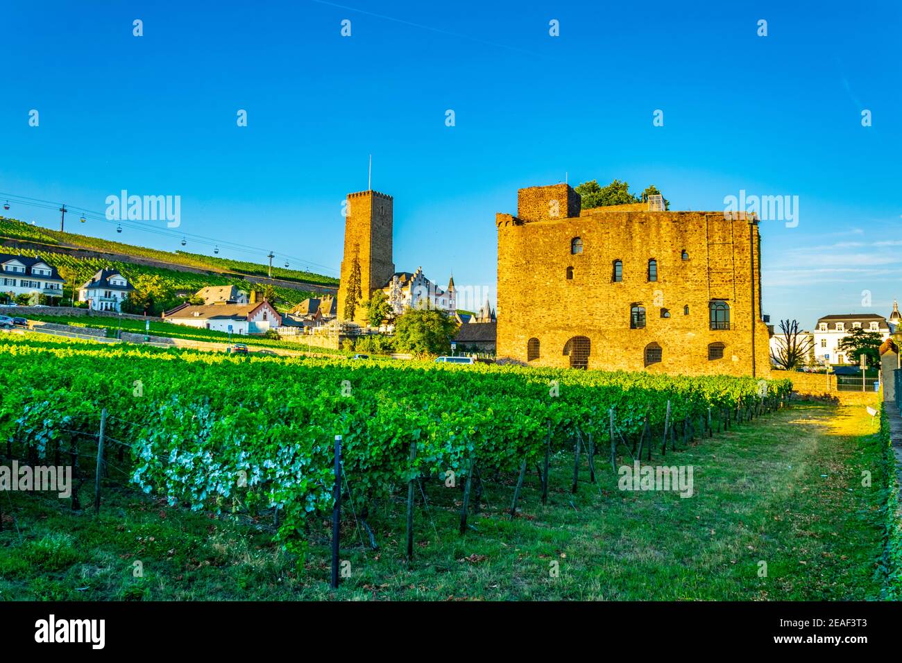 Rheingauer wine museum in Rudesheim am Rhein in Germany Stock Photo - Alamy