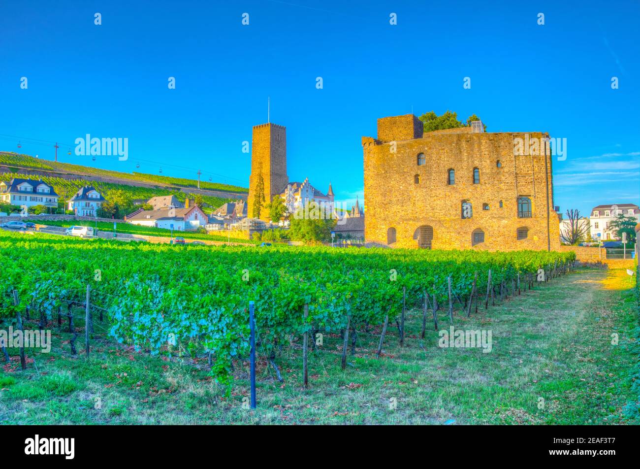 Rheingauer wine museum in Rudesheim am Rhein in Germany Stock Photo - Alamy