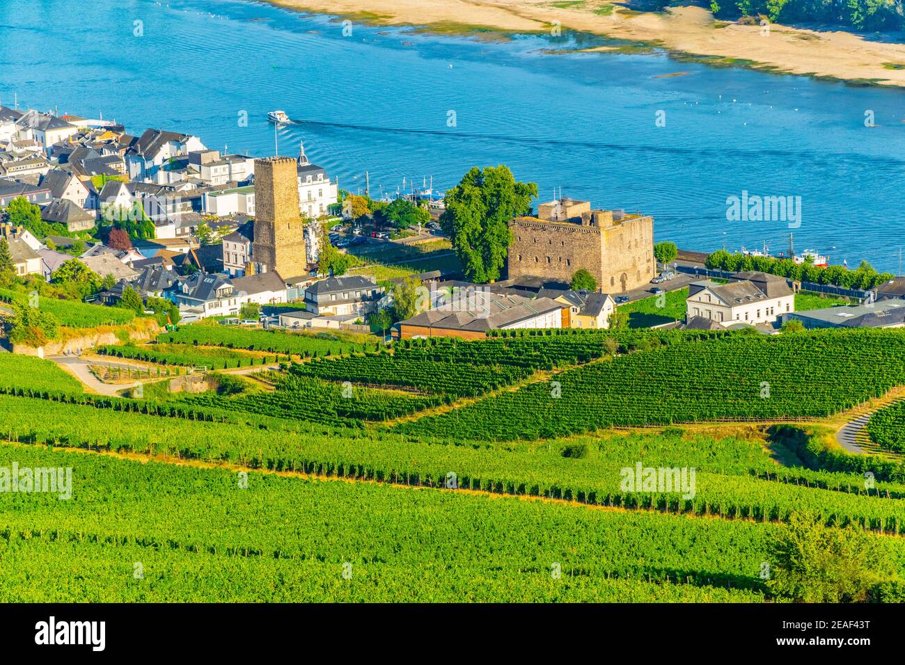 Rheingauer wine museum in Rudesheim am Rhein in Germany Stock Photo - Alamy