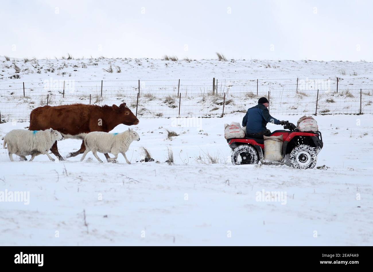 Carron bridge hi-res stock photography and images - Alamy