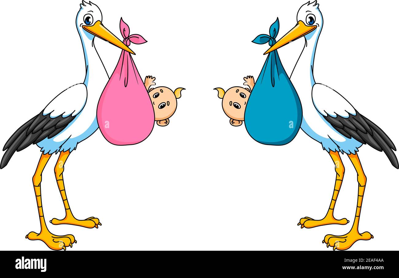 Stork with boy and girl for newborn or childbirth concept design Stock ...