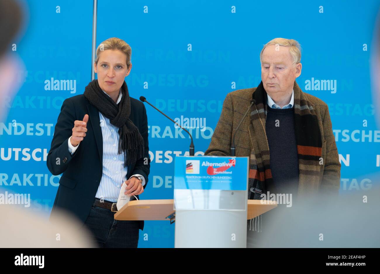 Berlin, Germany. 09th Feb, 2021. Alice Weidel and Alexander Gauland ...