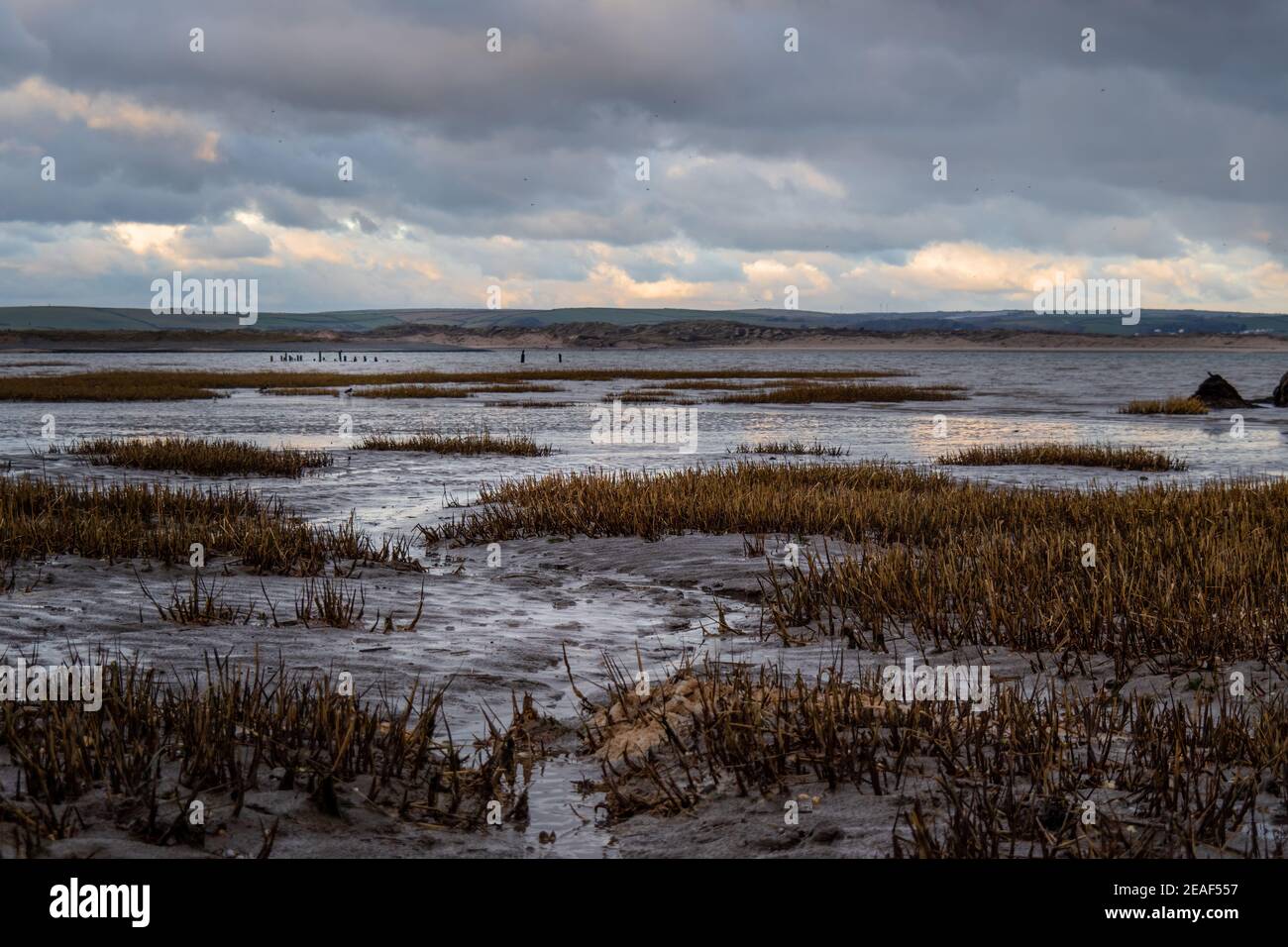 Winter evening landscape of the Skern area of Northam Burrows, near ...