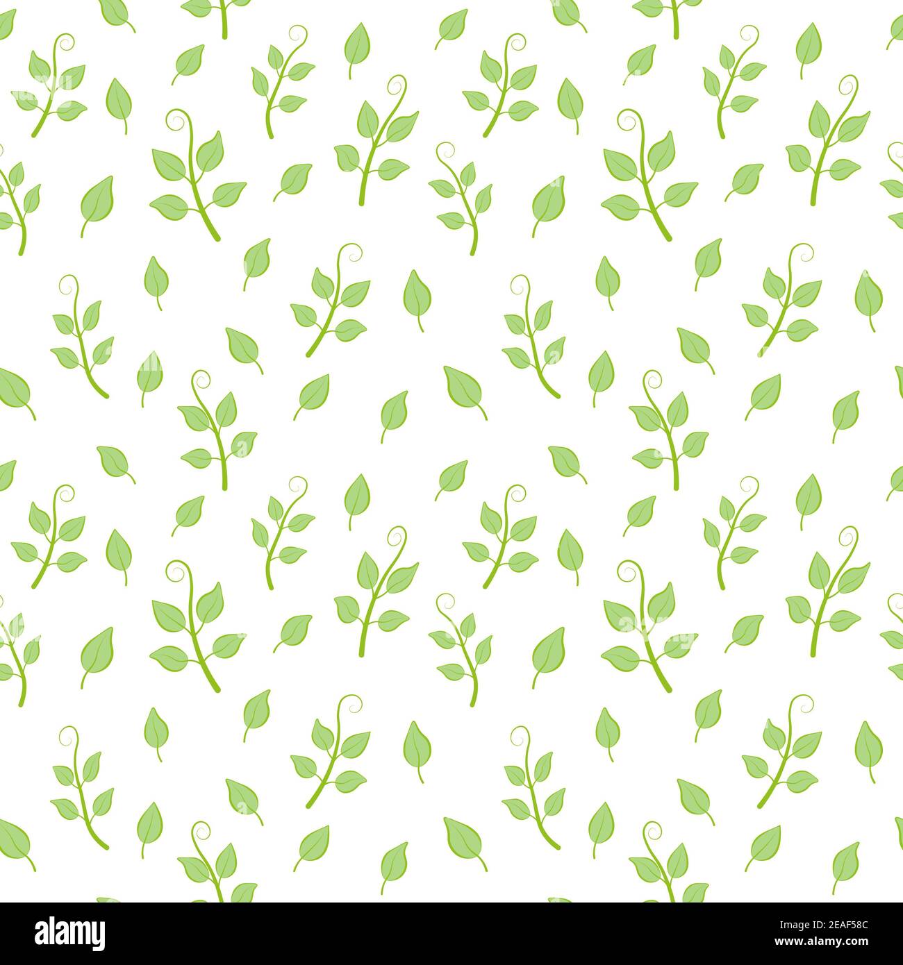 Seamless tropical rainforest pattern Cut Out Stock Images & Pictures ...