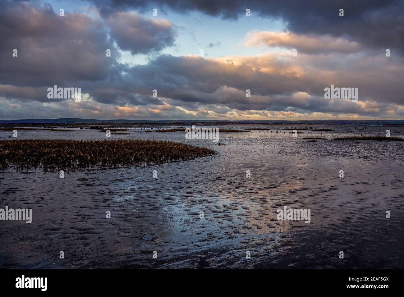 Evening clouds reflect on mud and water in the Skern area of Northam ...