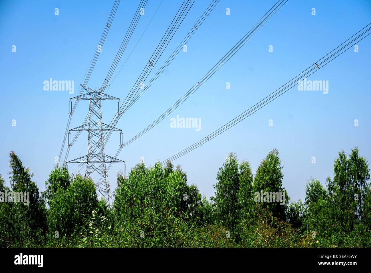 High voltage transmission towers line Stock Photo - Alamy