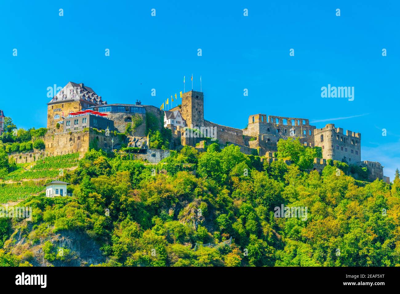 Rheinfels castle at St. Goar in Germany Stock Photo - Alamy
