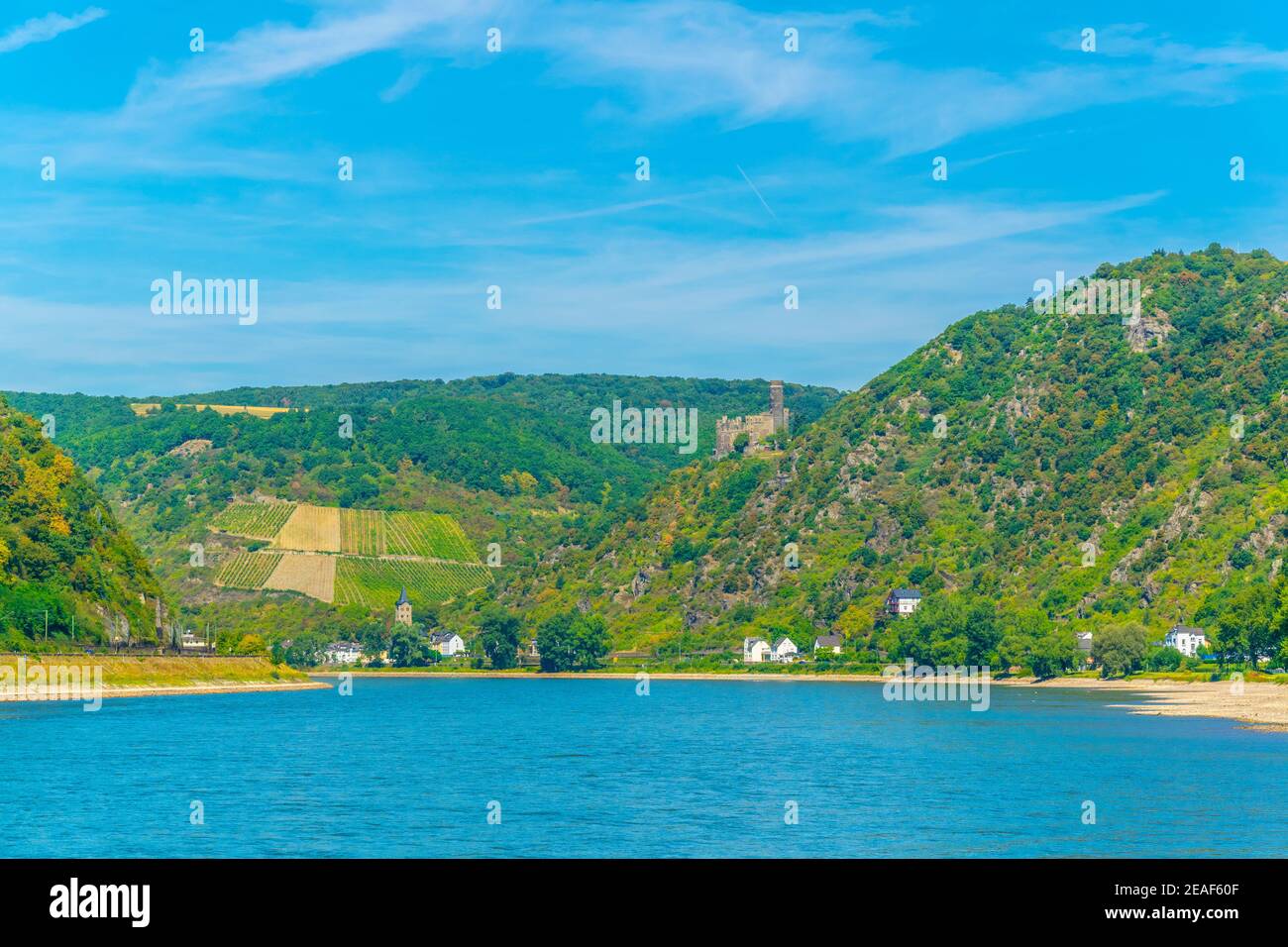 Burg Maus overlooking Rhein river in Germany Stock Photo - Alamy
