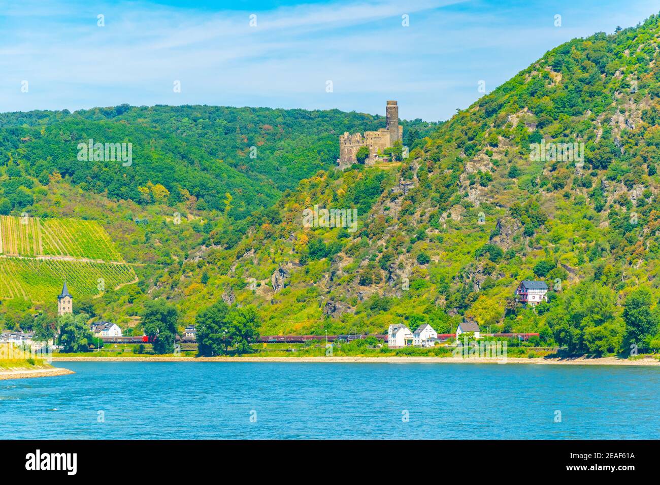 Burg Maus overlooking Rhein river in Germany Stock Photo - Alamy