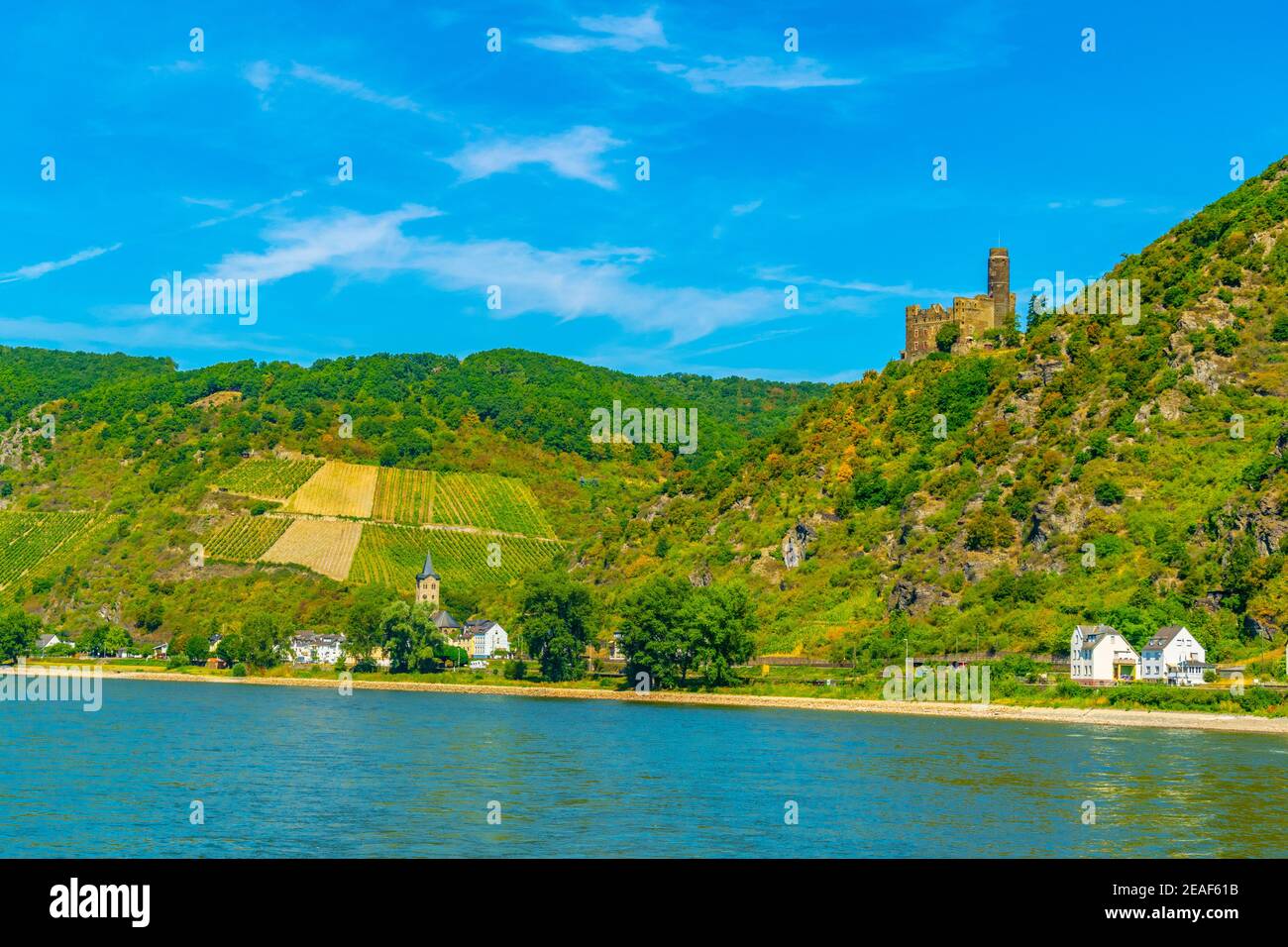 Burg Maus overlooking Rhein river in Germany Stock Photo - Alamy