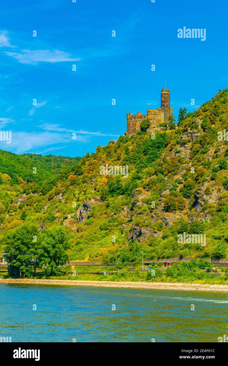 Burg Maus overlooking Rhein river in Germany Stock Photo - Alamy