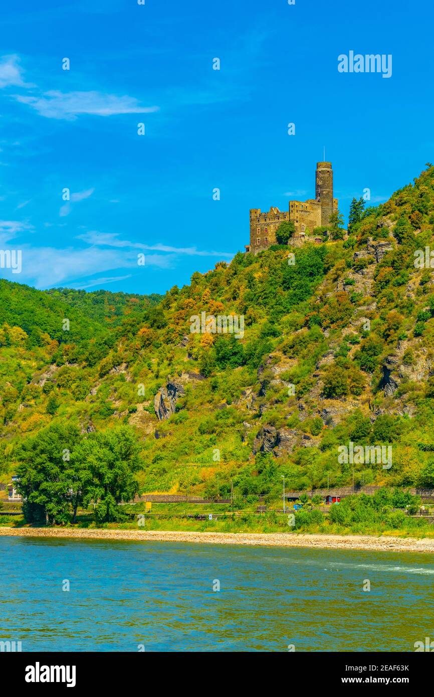 Burg Maus overlooking Rhein river in Germany Stock Photo - Alamy