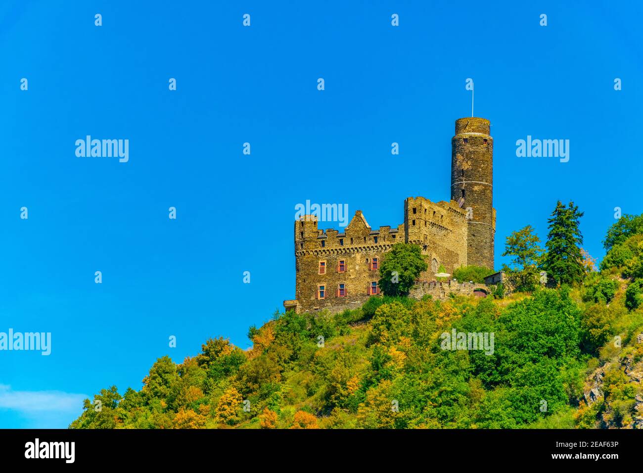 Burg Maus overlooking Rhein river in Germany Stock Photo - Alamy