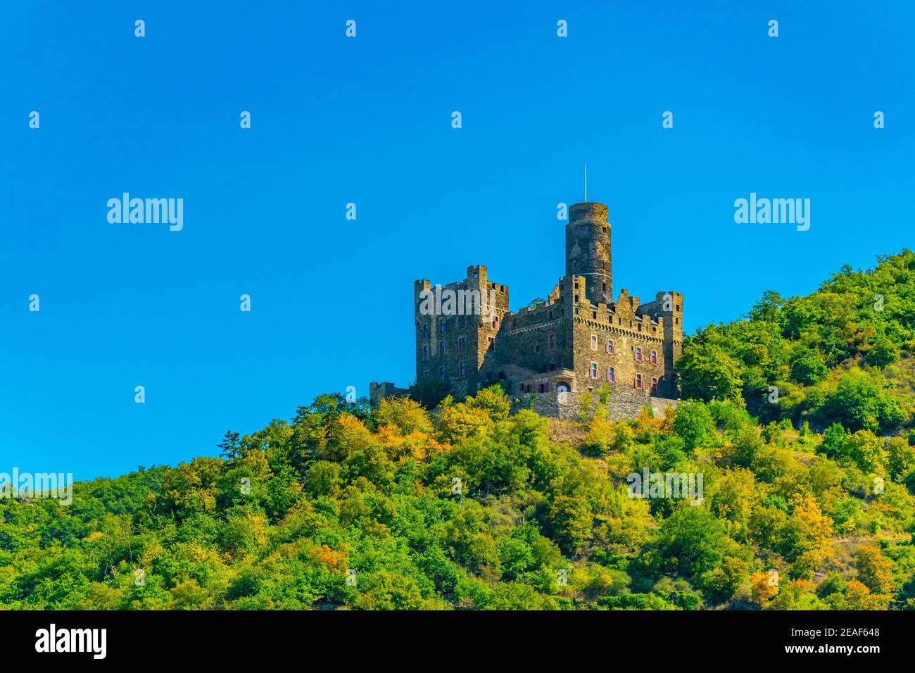Burg Maus overlooking Rhein river in Germany Stock Photo - Alamy