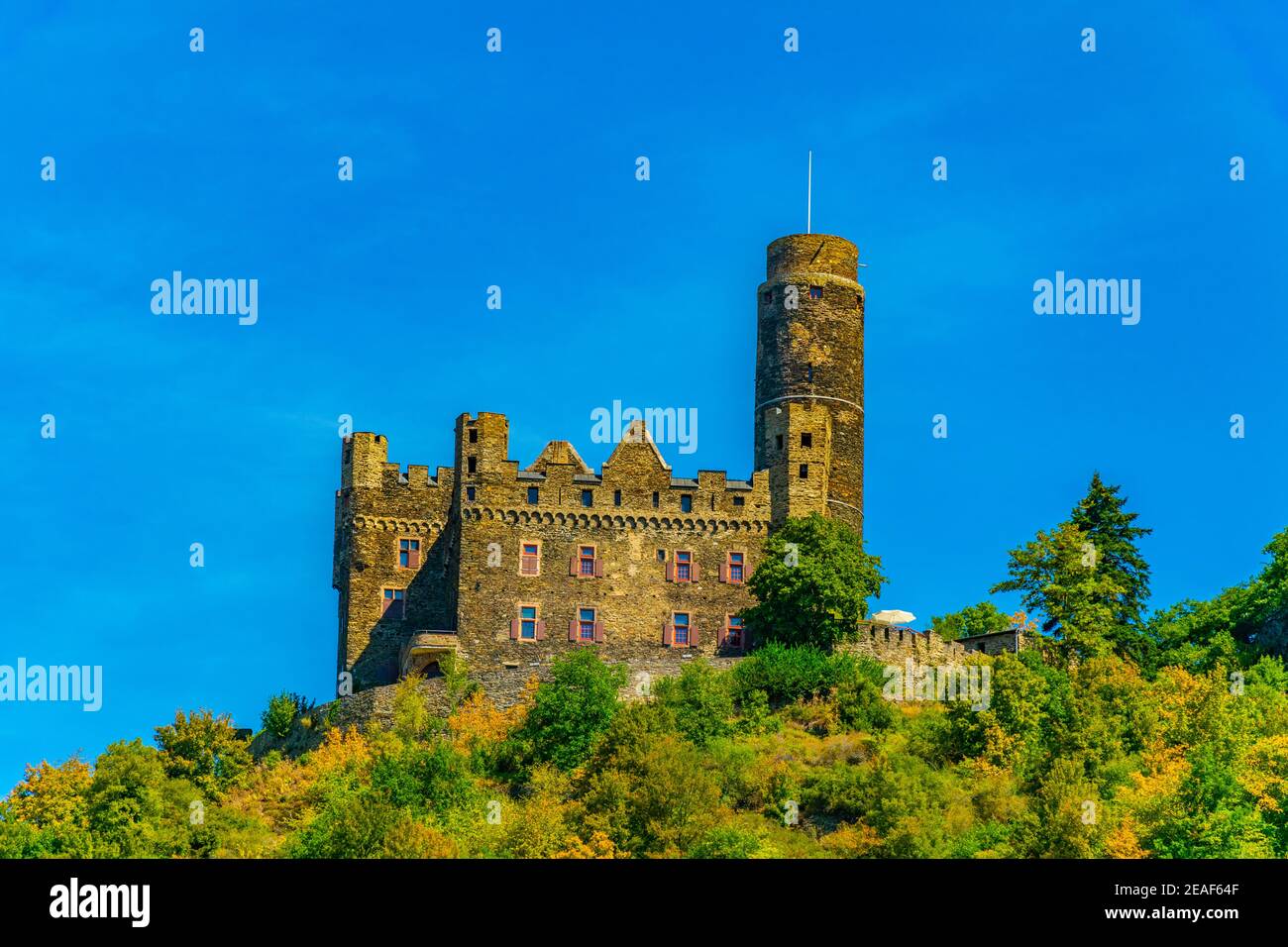 Burg Maus overlooking Rhein river in Germany Stock Photo - Alamy