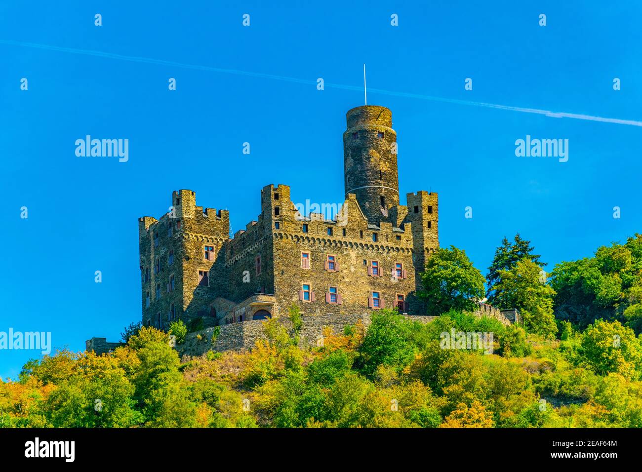Burg Maus overlooking Rhein river in Germany Stock Photo - Alamy