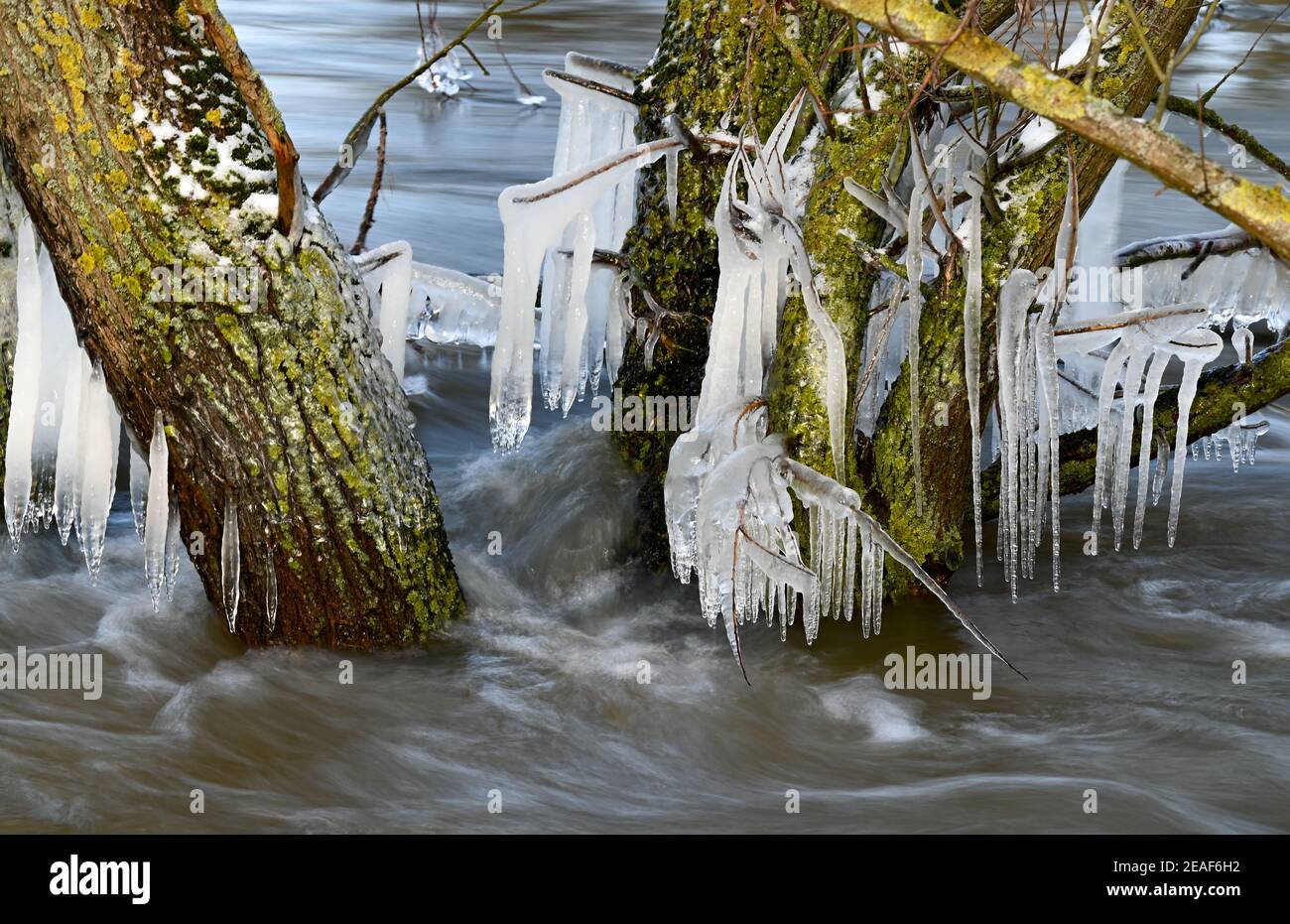Bad Vilbel, Germany. 09th Feb, 2021. In wintry temperatures icicles ...