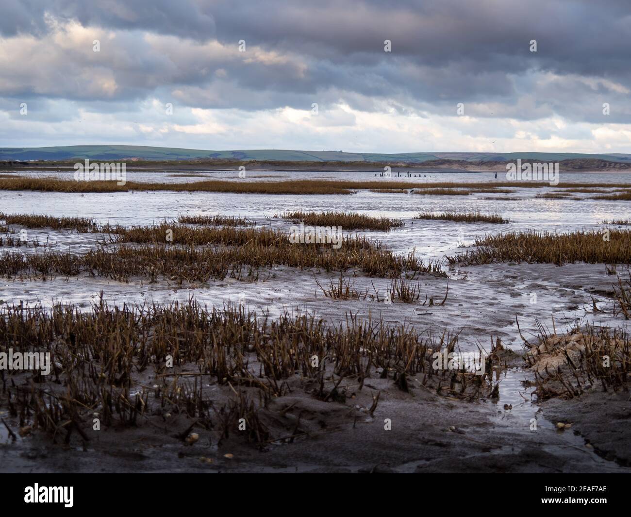 Appledore estuary view hi-res stock photography and images - Alamy