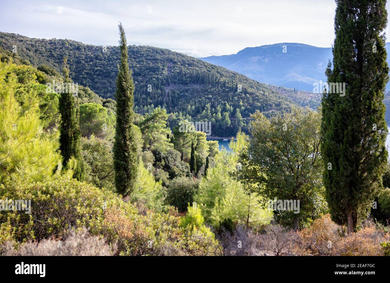 Greece cypress hi-res stock photography and images - Alamy