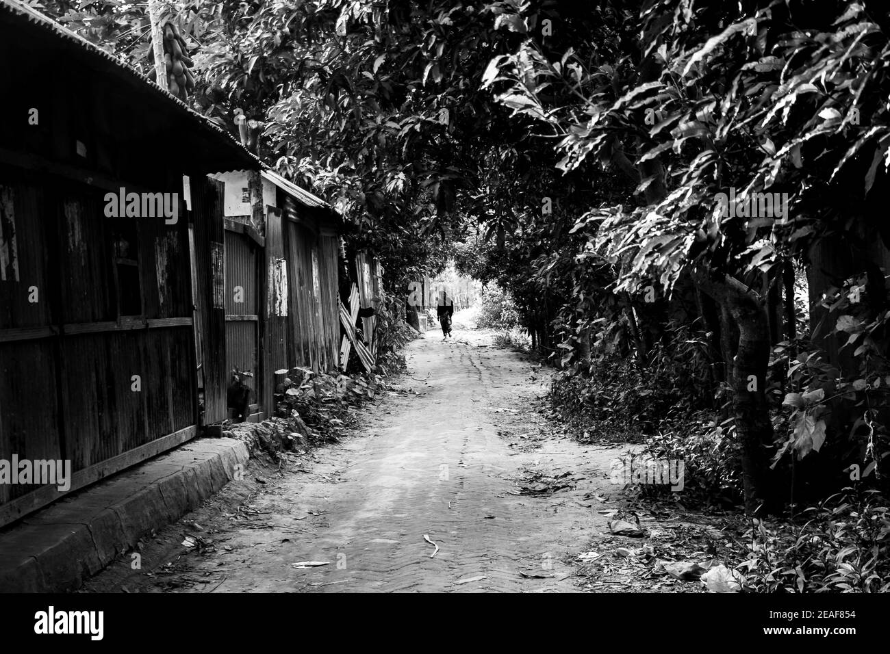A village street I captured this image from Munshigonj, Bangladesh ...