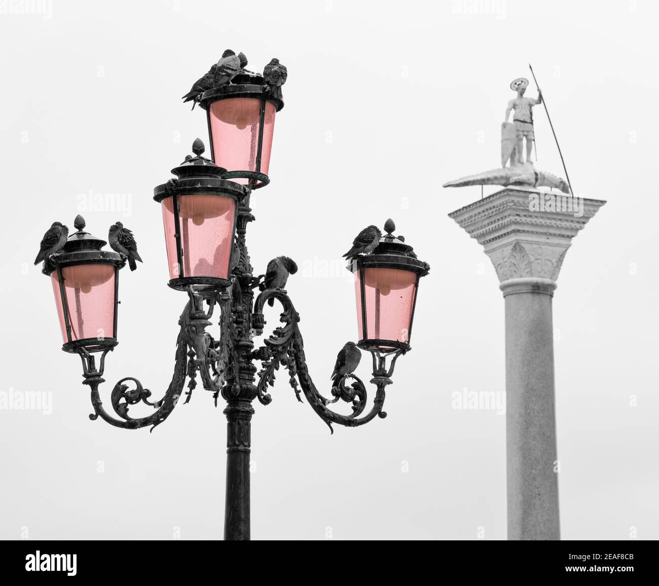 Pink Venetian glass lamps with roosting pigeons on St Mark's Square in ...