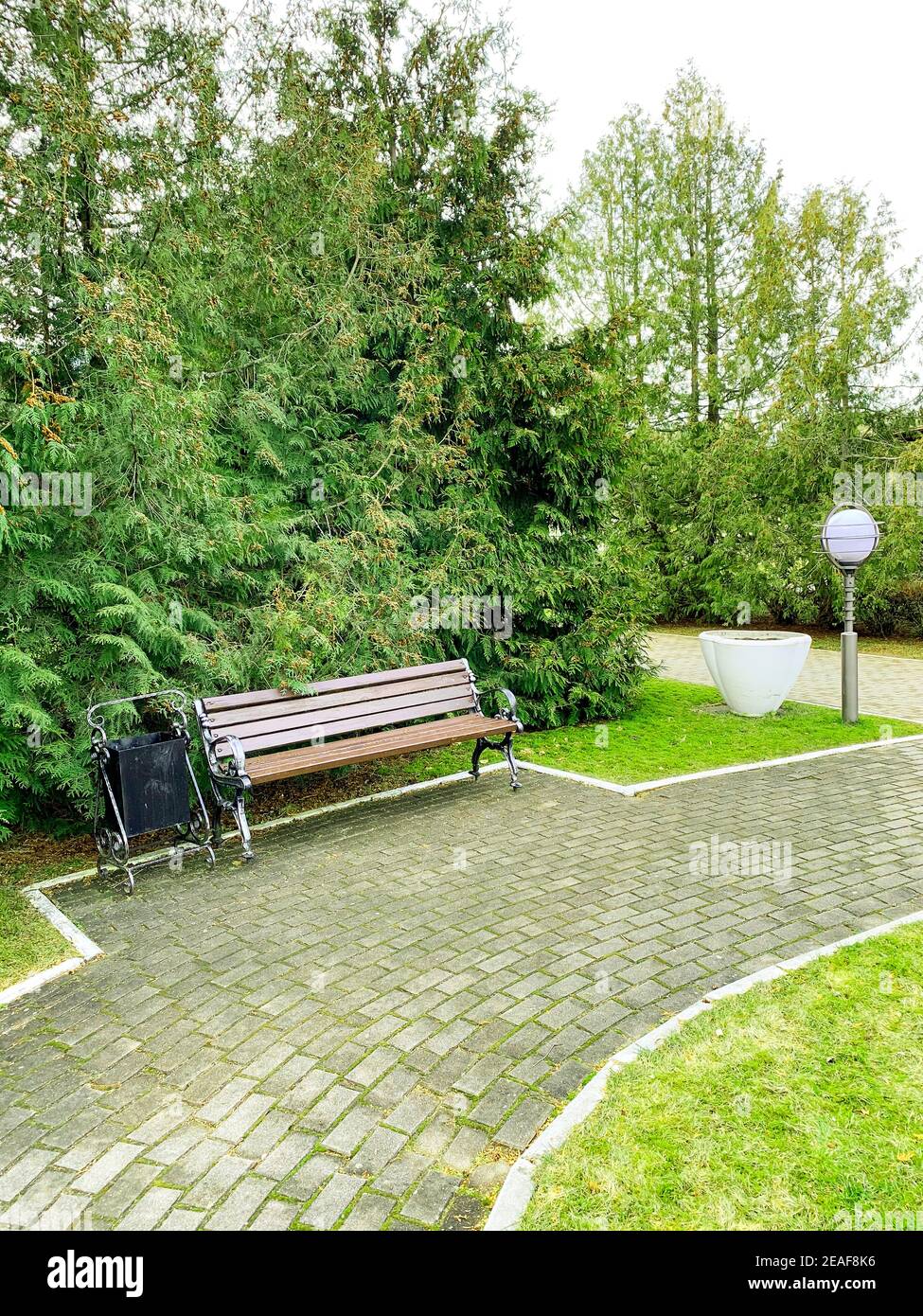 Wooden bench on walkway in park Stock Photo - Alamy