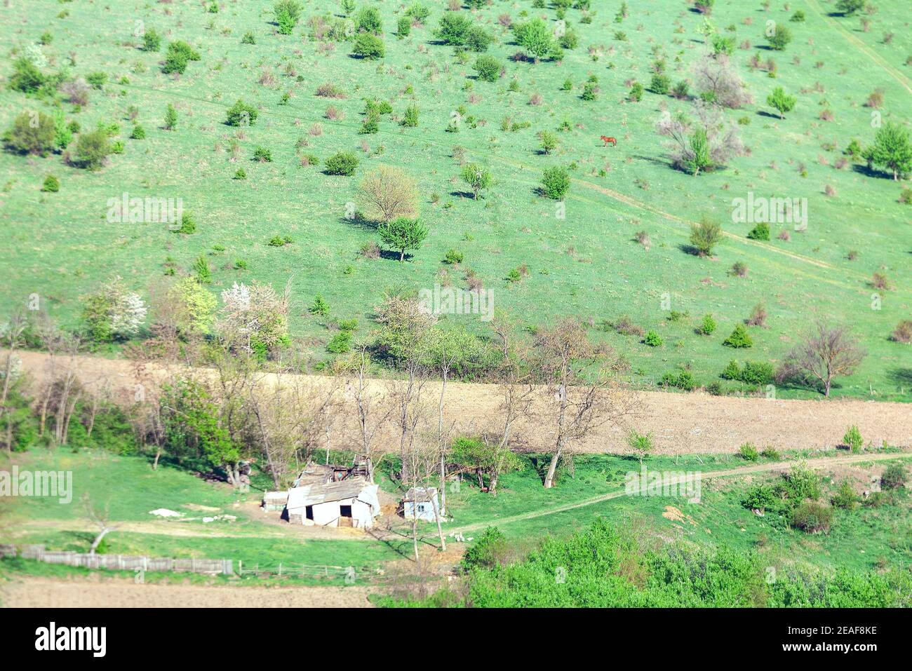 Farmland aerial view . Old ranch with barn on the countryside . Rustic ...