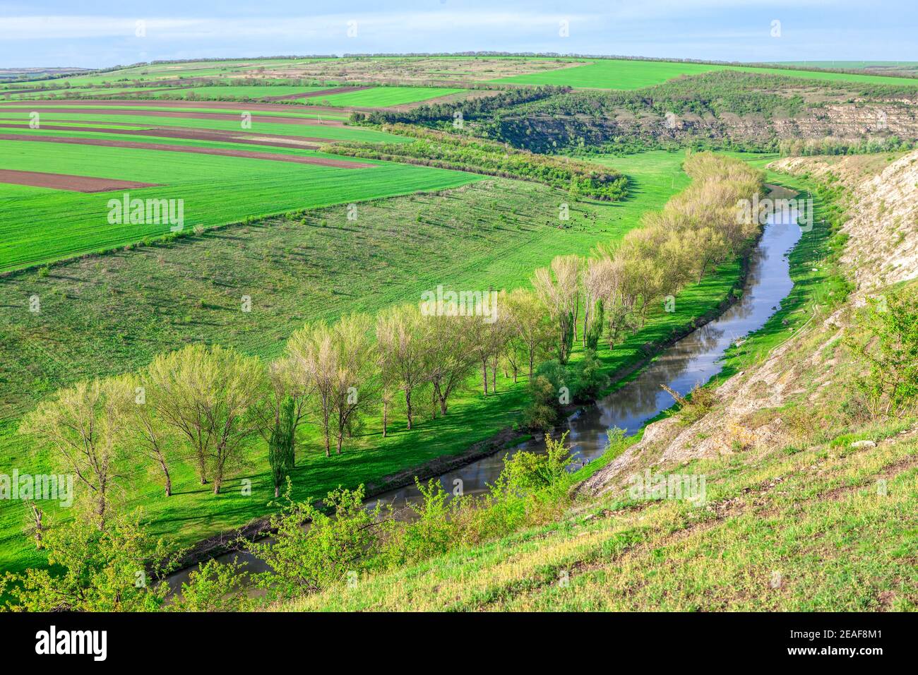 Line of trees alongside river hi-res stock photography and images - Alamy