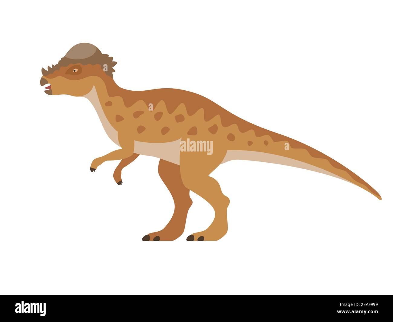 Pachycephalosaurus dinosaur. Vector illustration of a prehistoric ...