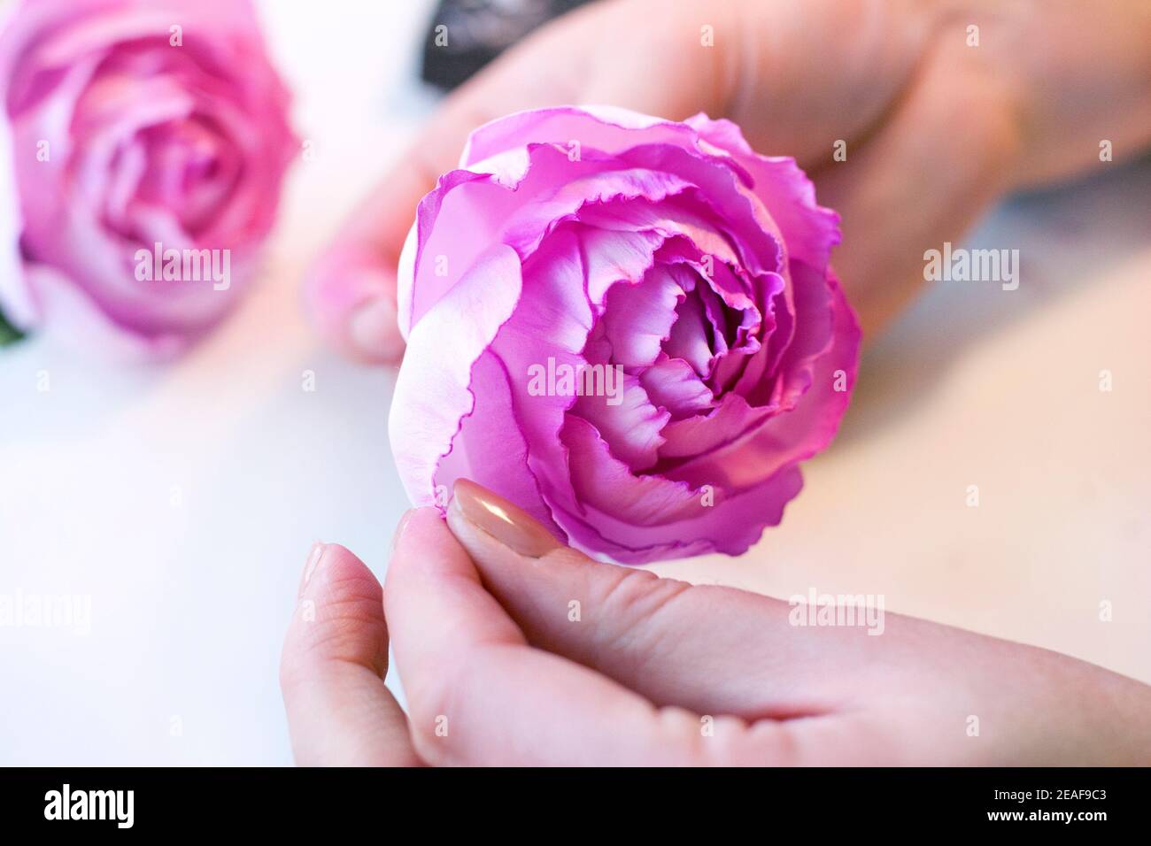 Step-by-step masterclass workshop, handicraft guide, top view on making ...