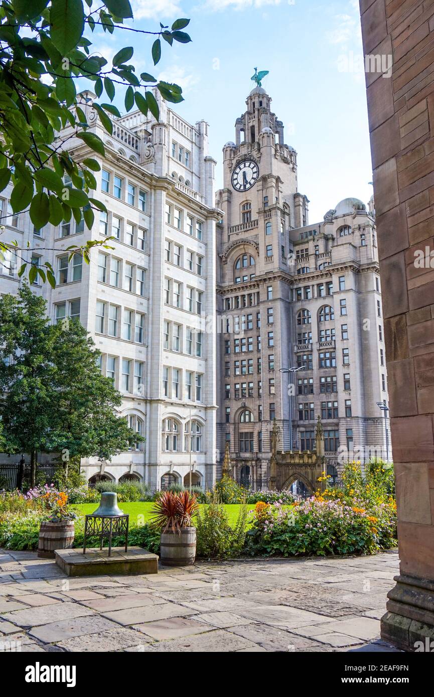 View of The Royal Liver Building from Parish Church courtyard garden ...