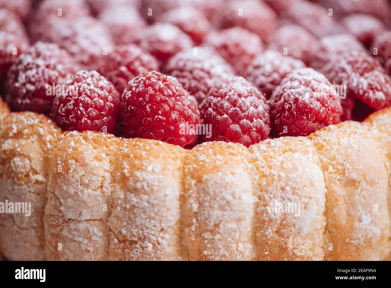 Delicious french Charlotte cake with raspberries and savoiardi biscuits ...