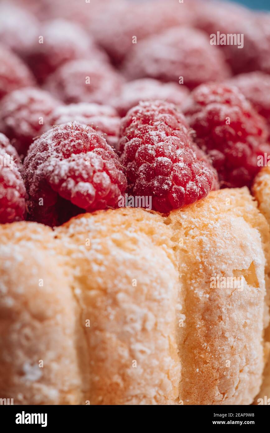 Delicious french Charlotte cake with raspberries and savoiardi biscuits ...