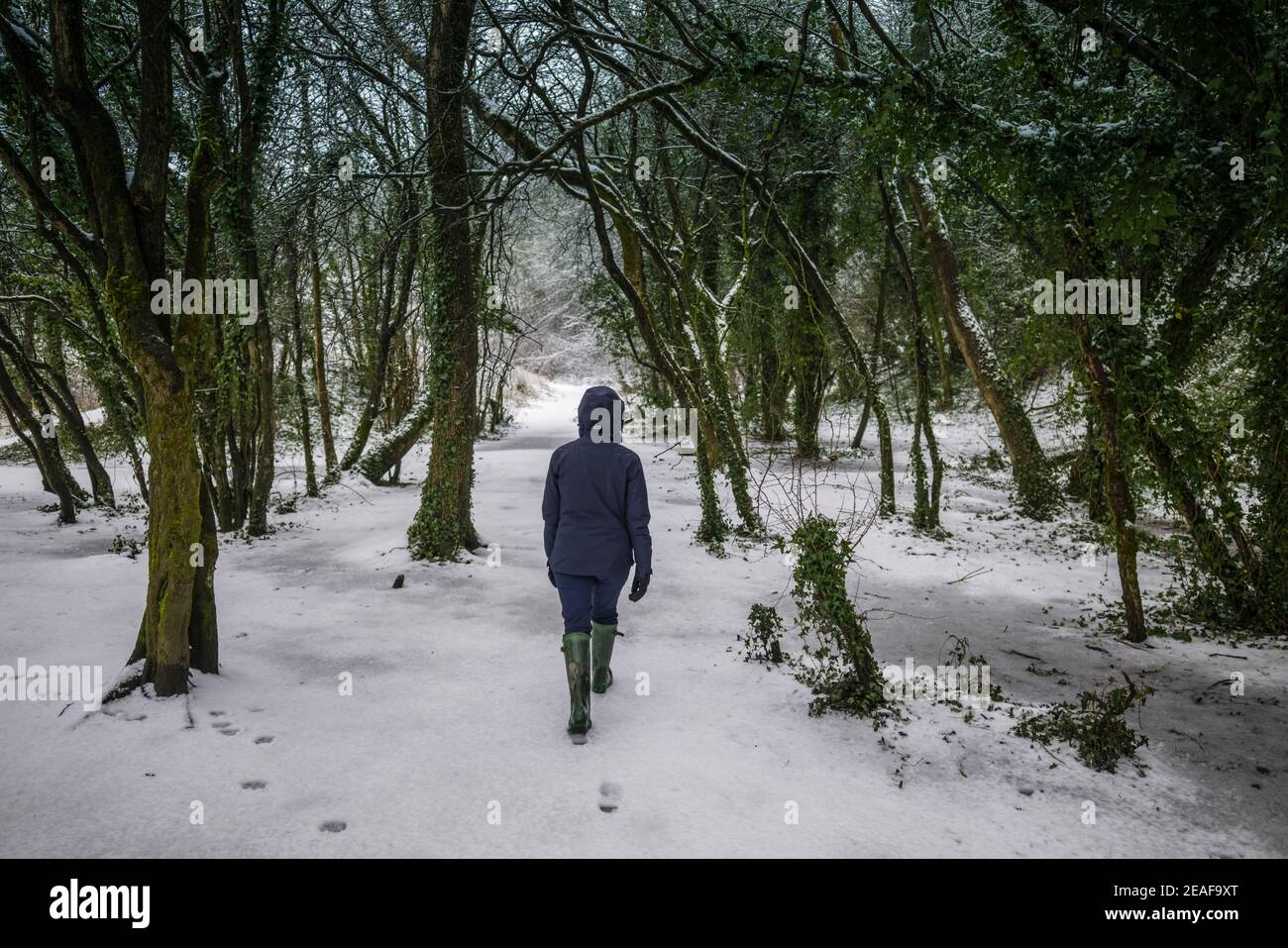 Keeping active hi-res stock photography and images - Alamy