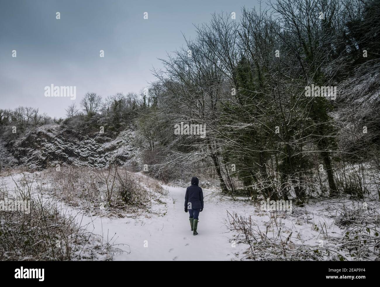 Seasons walk hi-res stock photography and images - Alamy