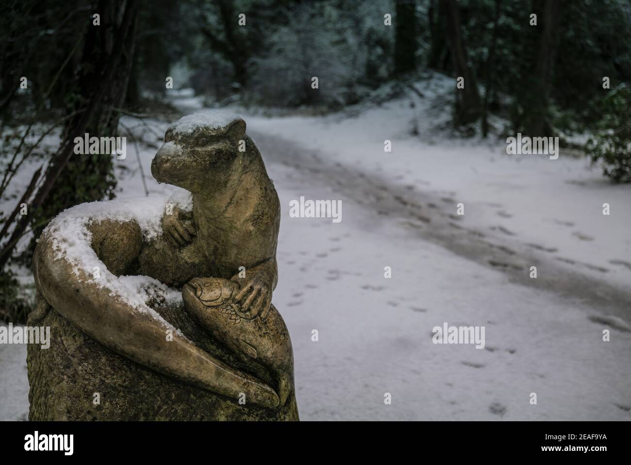 Otter carving on the Brungerley Park sculpture trail, Clitheroe, Ribble ...