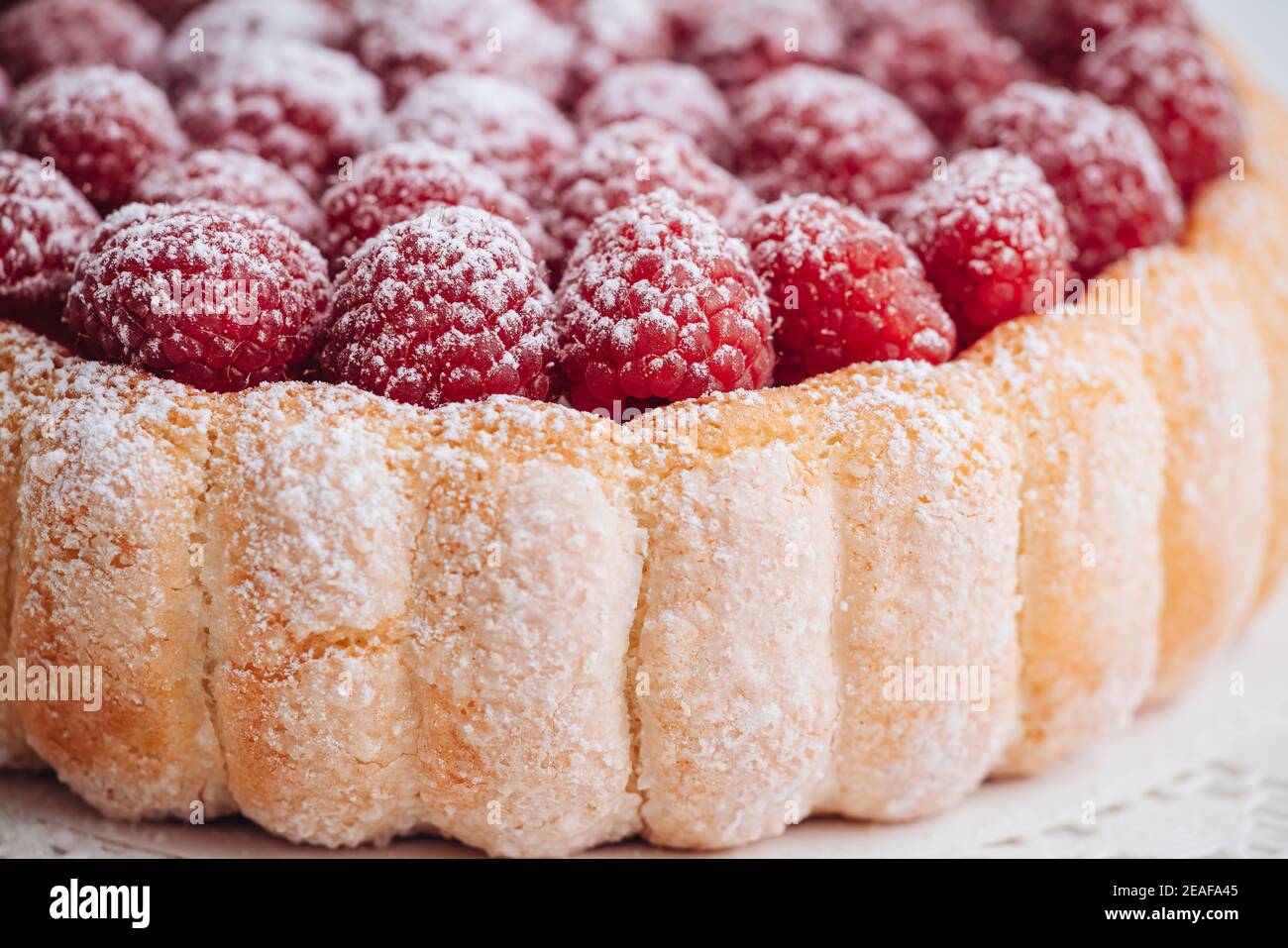 Delicious french Charlotte cake with raspberries and savoiardi biscuits ...