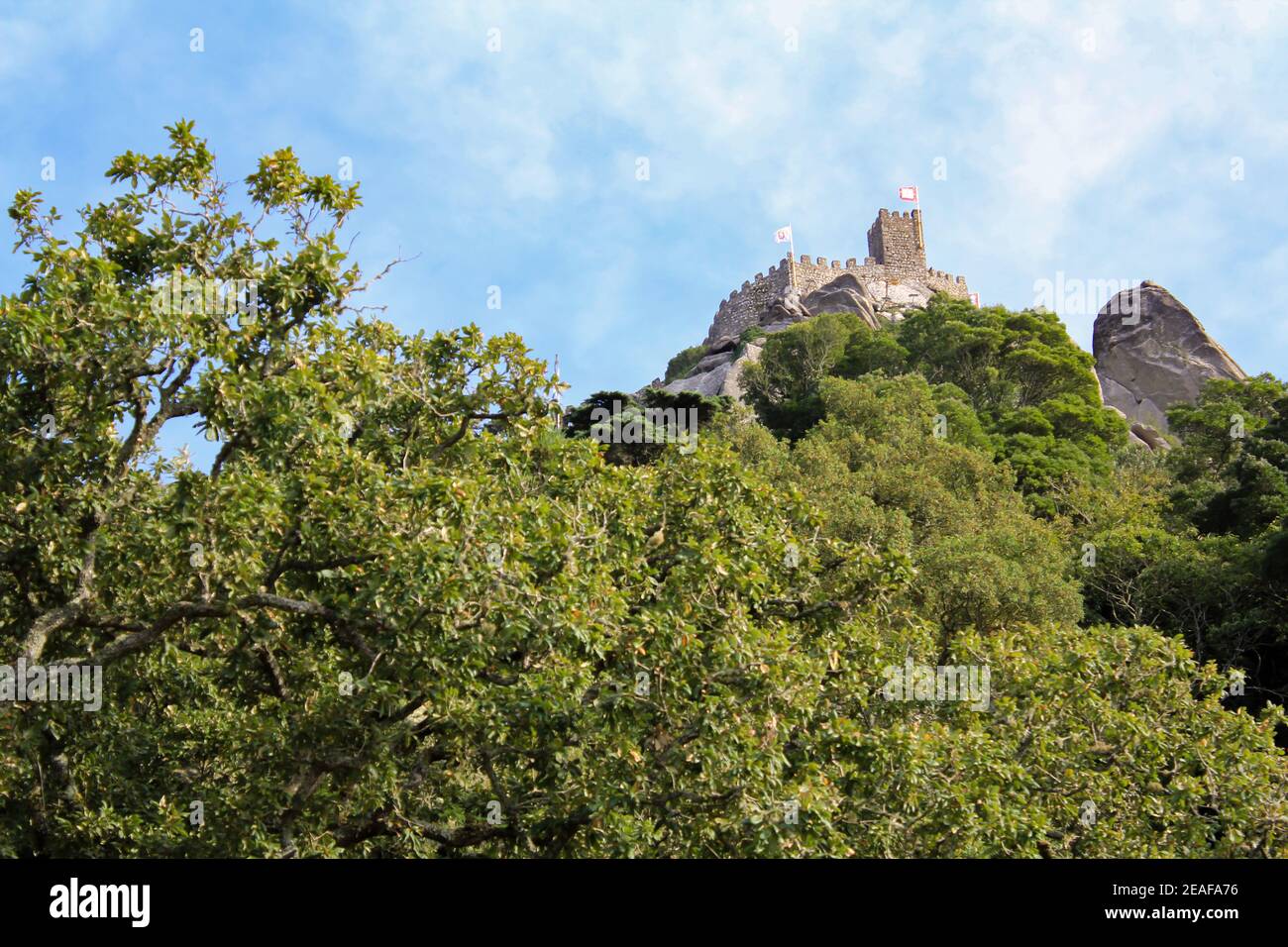 Moorish Castle in Sintra among trees and vegetation Stock Photo - Alamy