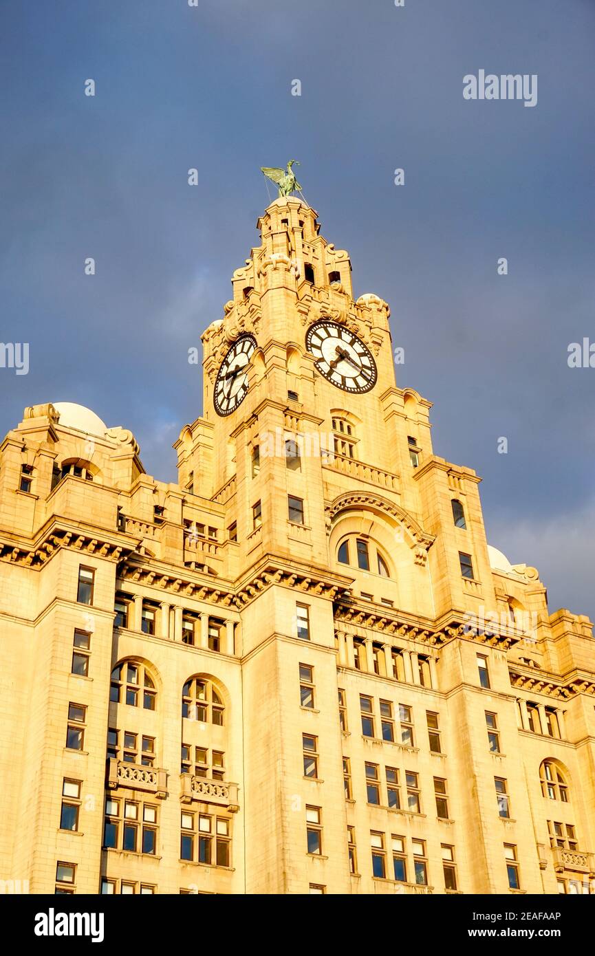 Liver Building Clock High Resolution Stock Photography and Images - Alamy