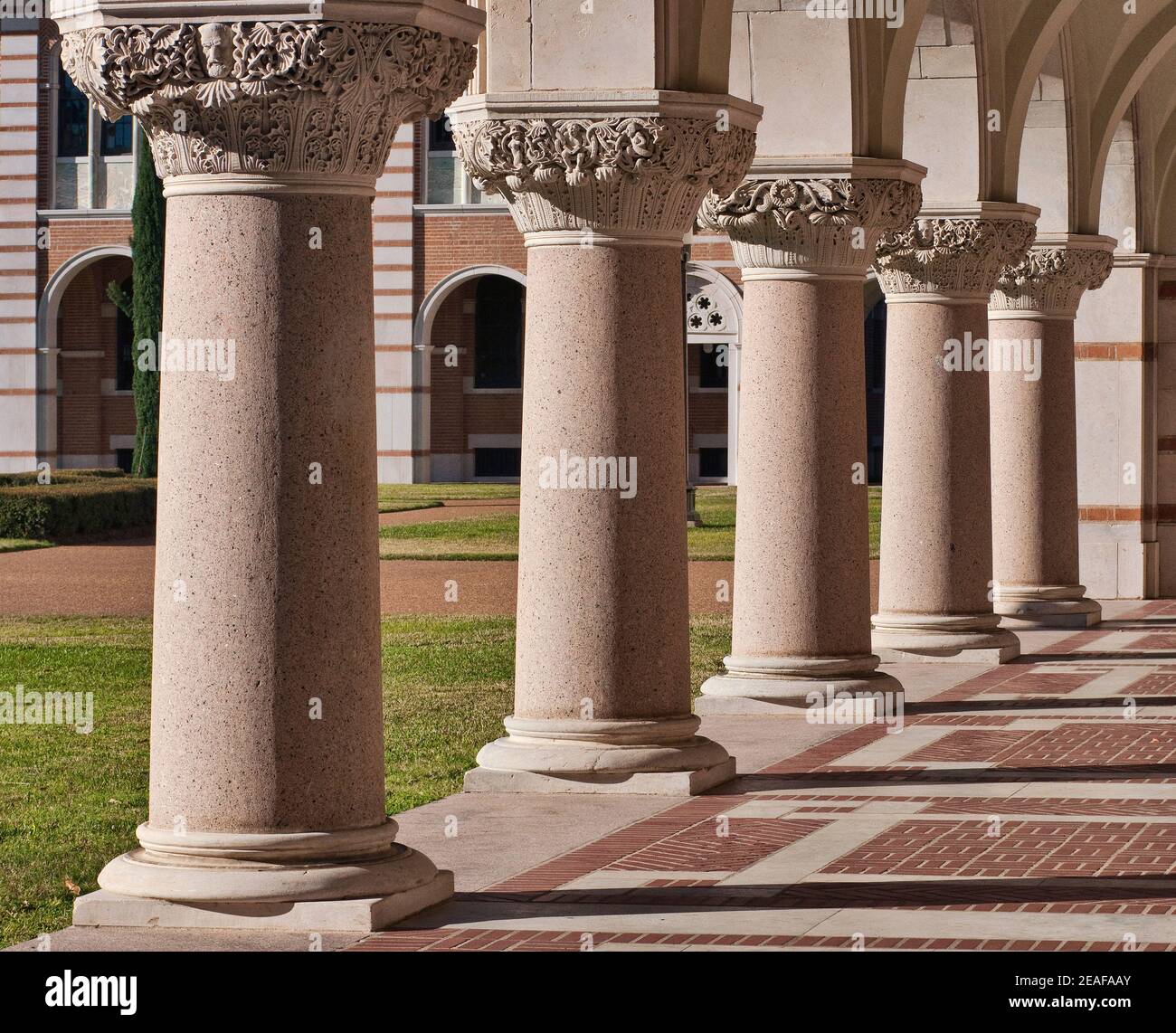 Columns at Lovett Hall at Rice University, Houston, Texas, USA Stock ...