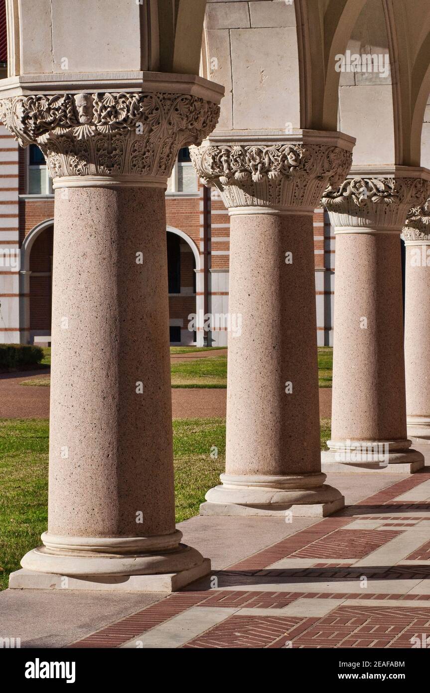 Columns at Lovett Hall at Rice University, Houston, Texas, USA Stock ...