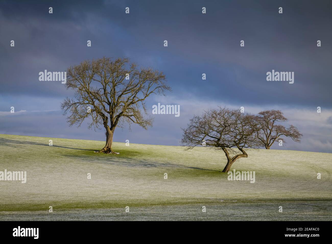Winter landscape, Clitheroe, Ribble Valley, Lancashire, UK Stock Photo ...