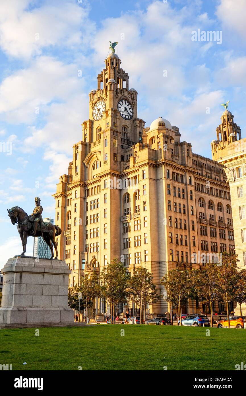 The Royal Liver Building, Liverpool architecture, England, UK Stock ...