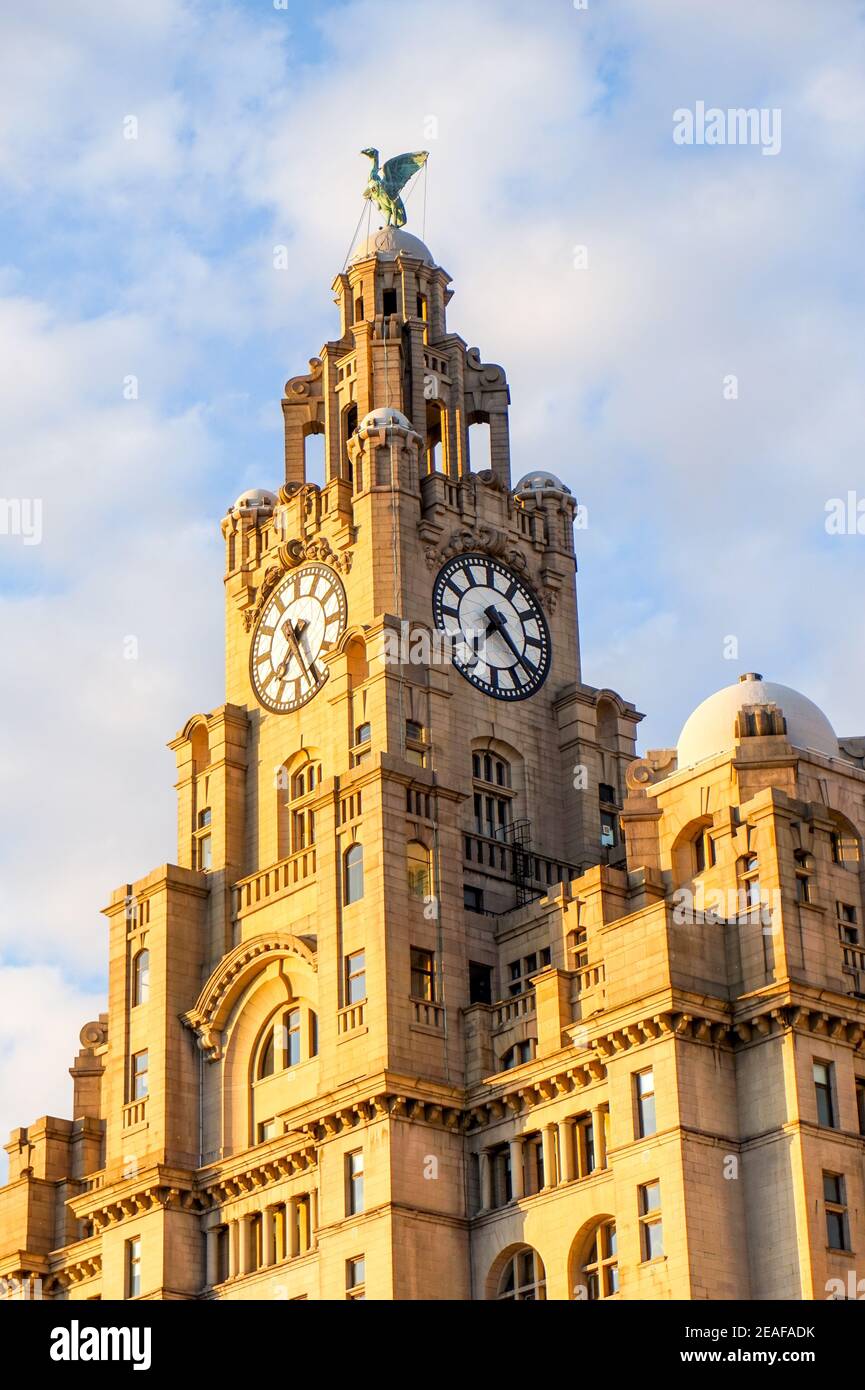 Close up of The Royal Liver Building clock, Liverpool architecture ...