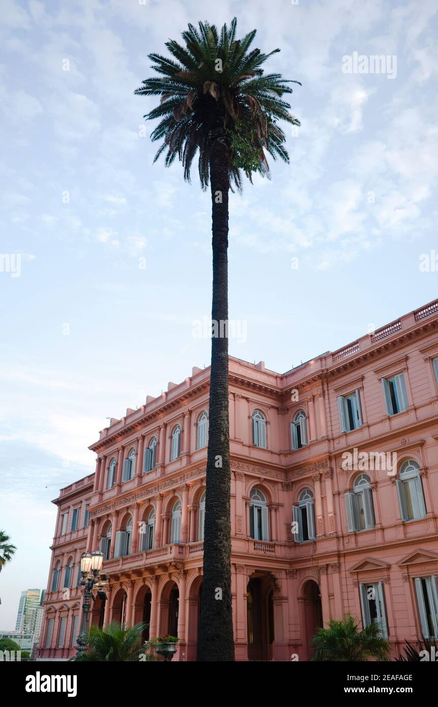 Tall palm tree against Pink House or Casa Rosada building is a mansion ...