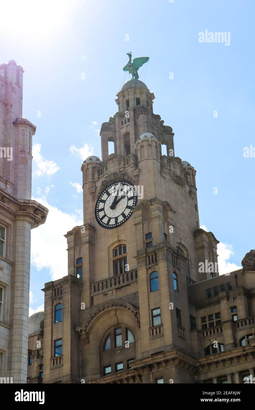 Close up of Clock on The Royal Liver Building, Liverpool architecture ...