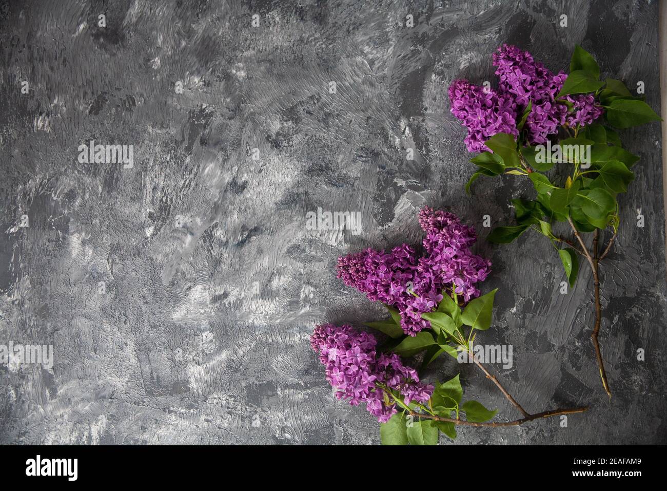 Texture background with bright flowers of lilac for the cover of the ...