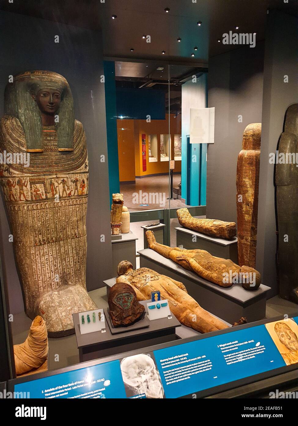 Ancient Egypt collection, Historic Artifacts at World Museum, Liverpool ...