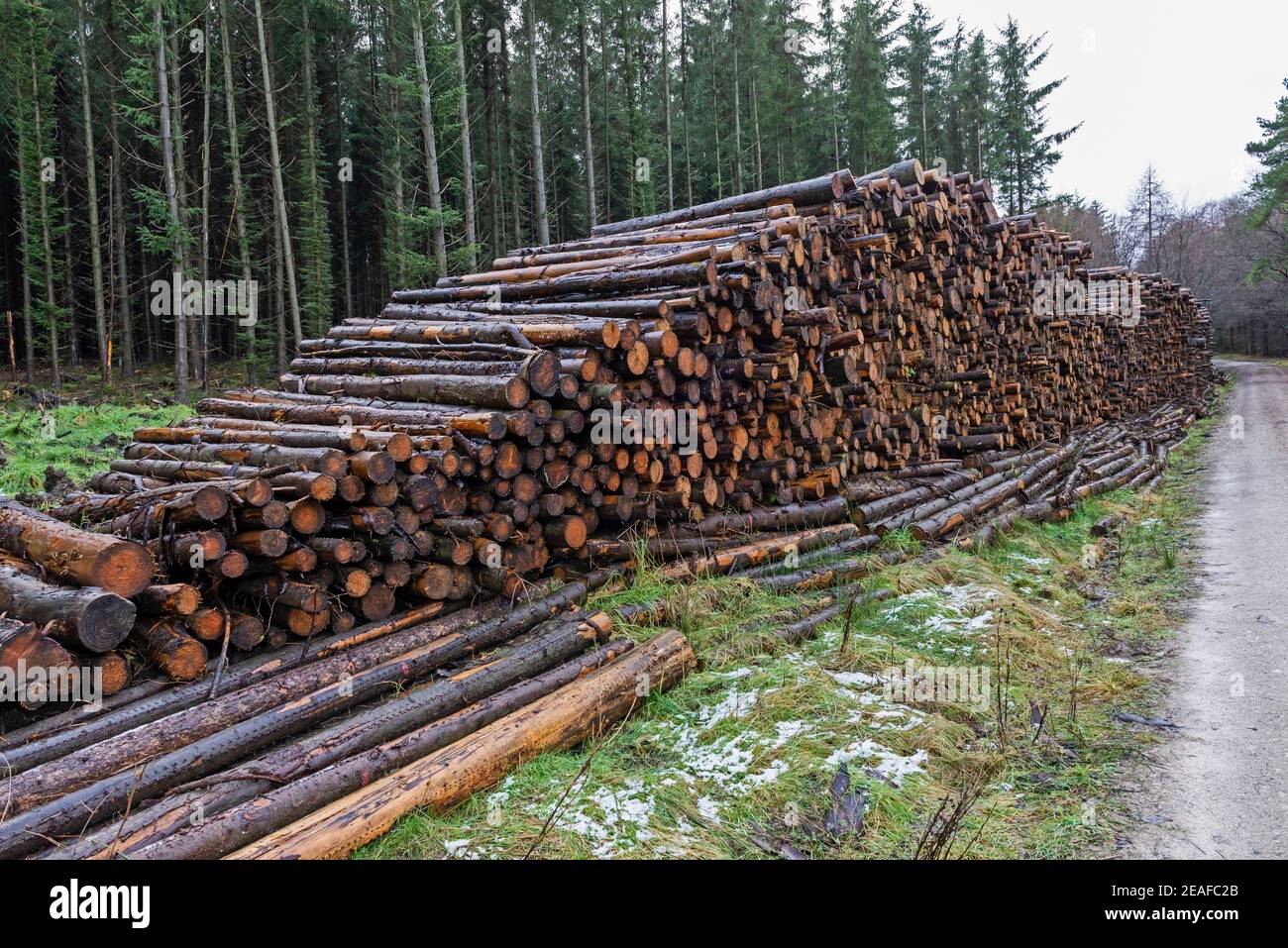 Logging industry hi-res stock photography and images - Alamy