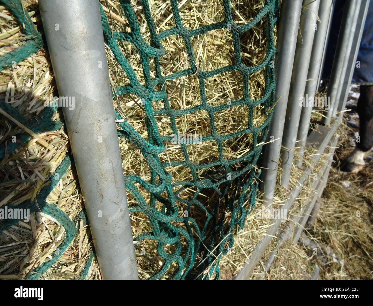Metal hay rack hi-res stock photography and images - Alamy